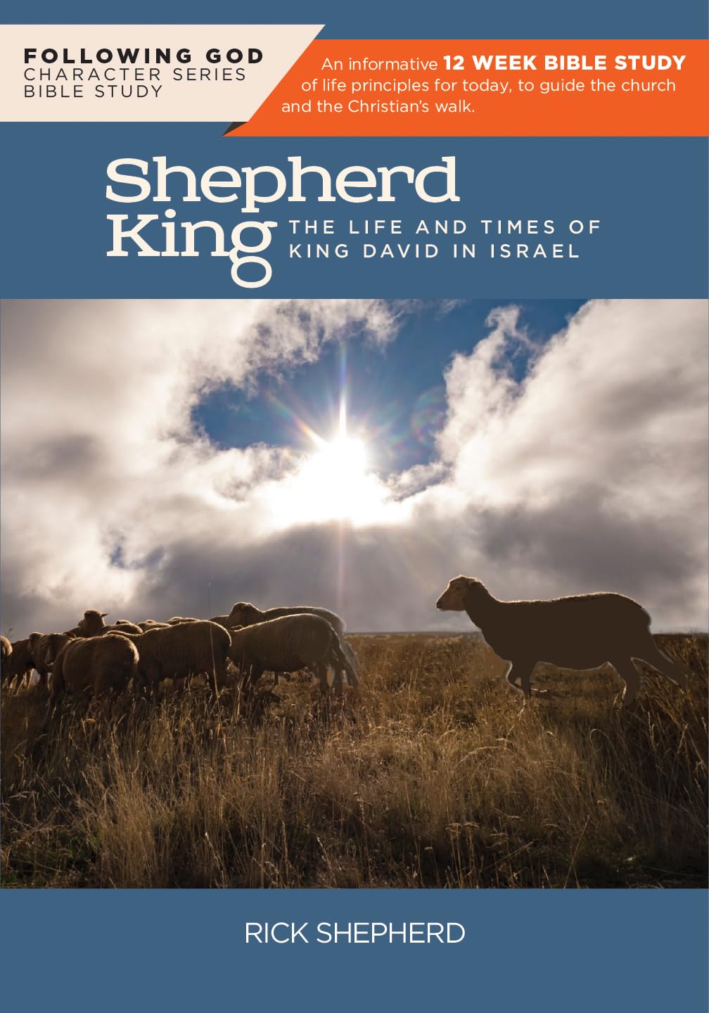 David, the Shepherd King: The Life and Times of King David in Israel ...
