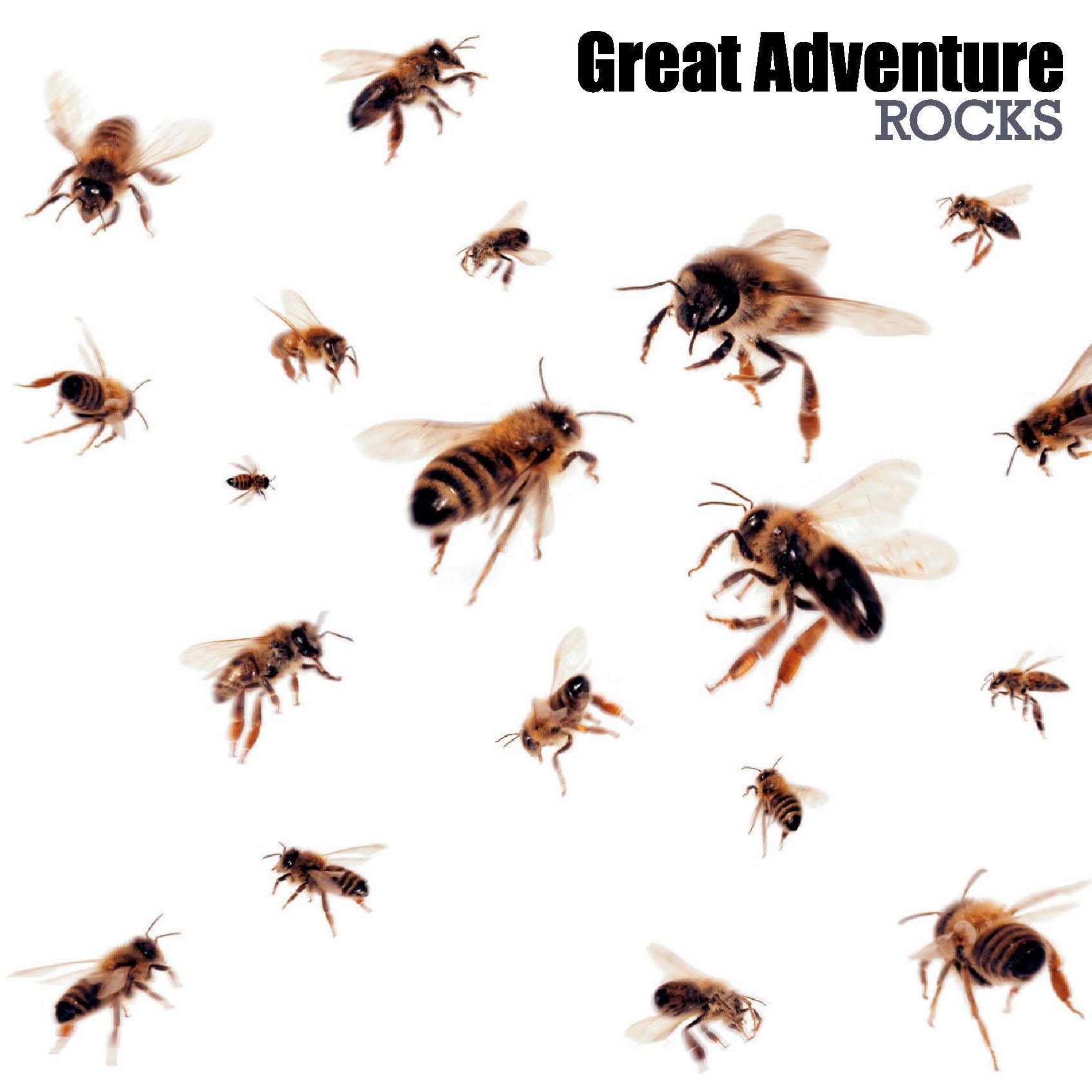 Amazon.co.jp: ROCKS: ミュージック