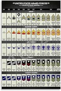 Amazon.com: United States Armed Forces Enlisted Rank Insignia Fine Art ...
