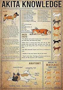 Amazon.com : Akita Knowledge Metal Tin Signs Akita Information Retro ...