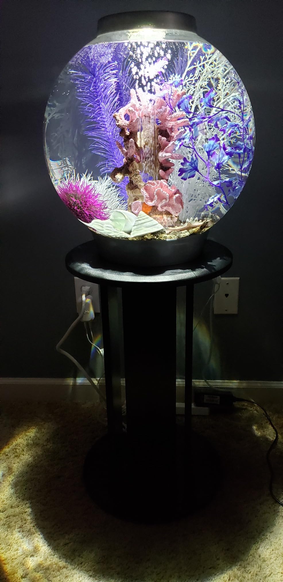 Amazon.com : biOrb Executive Stand - Black : Aquariums : Pet Supplies