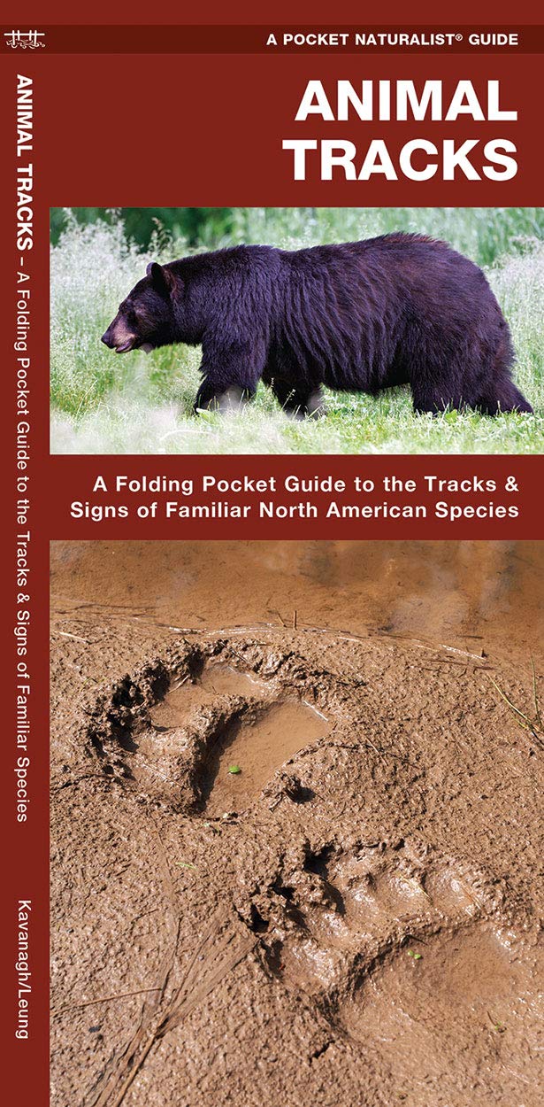 Animal Tracks (Nature Observation North America): Kavanagh Waterford ...