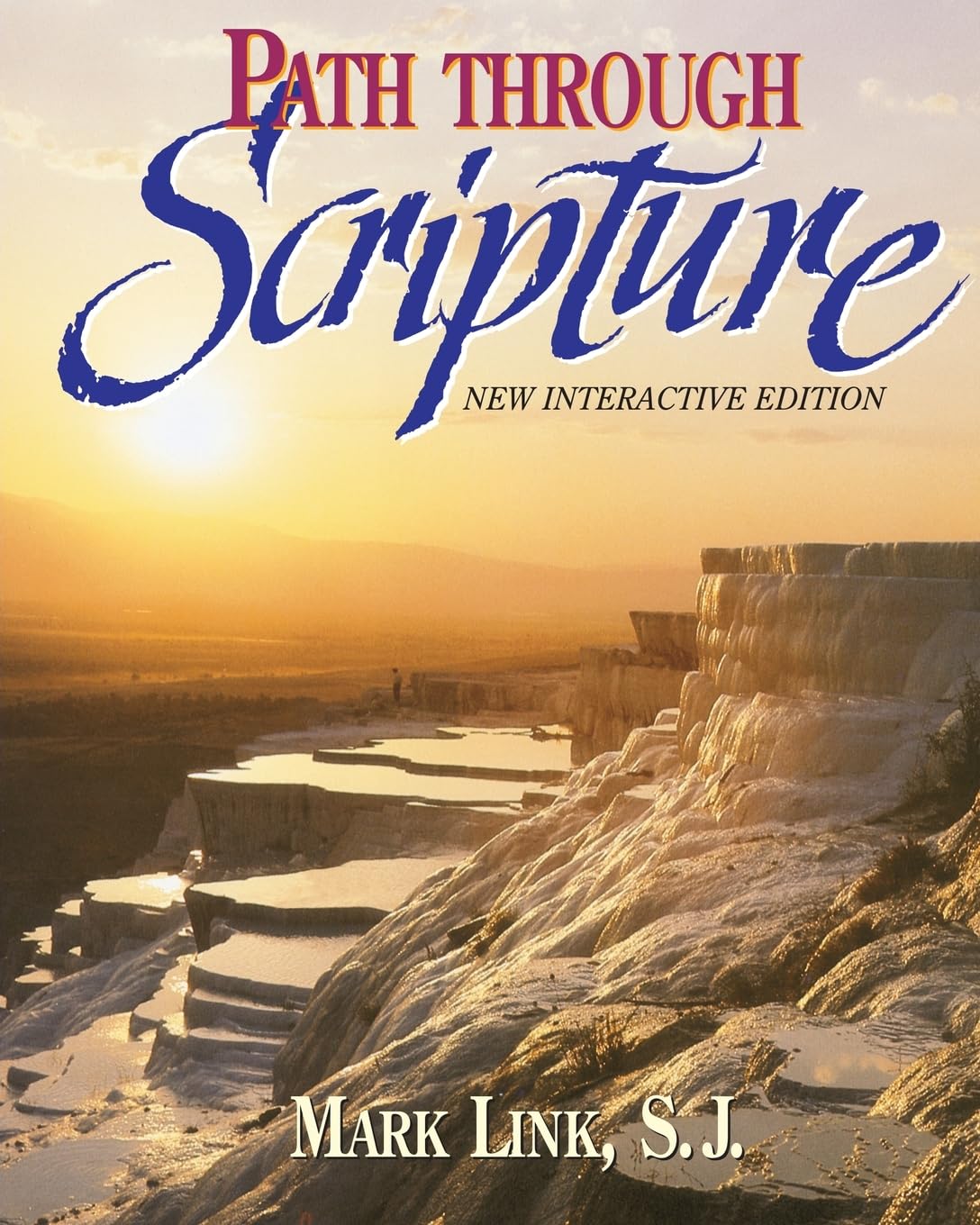 Path Through Scripture: Link, Mark: 9780782904703: Amazon.com: Books