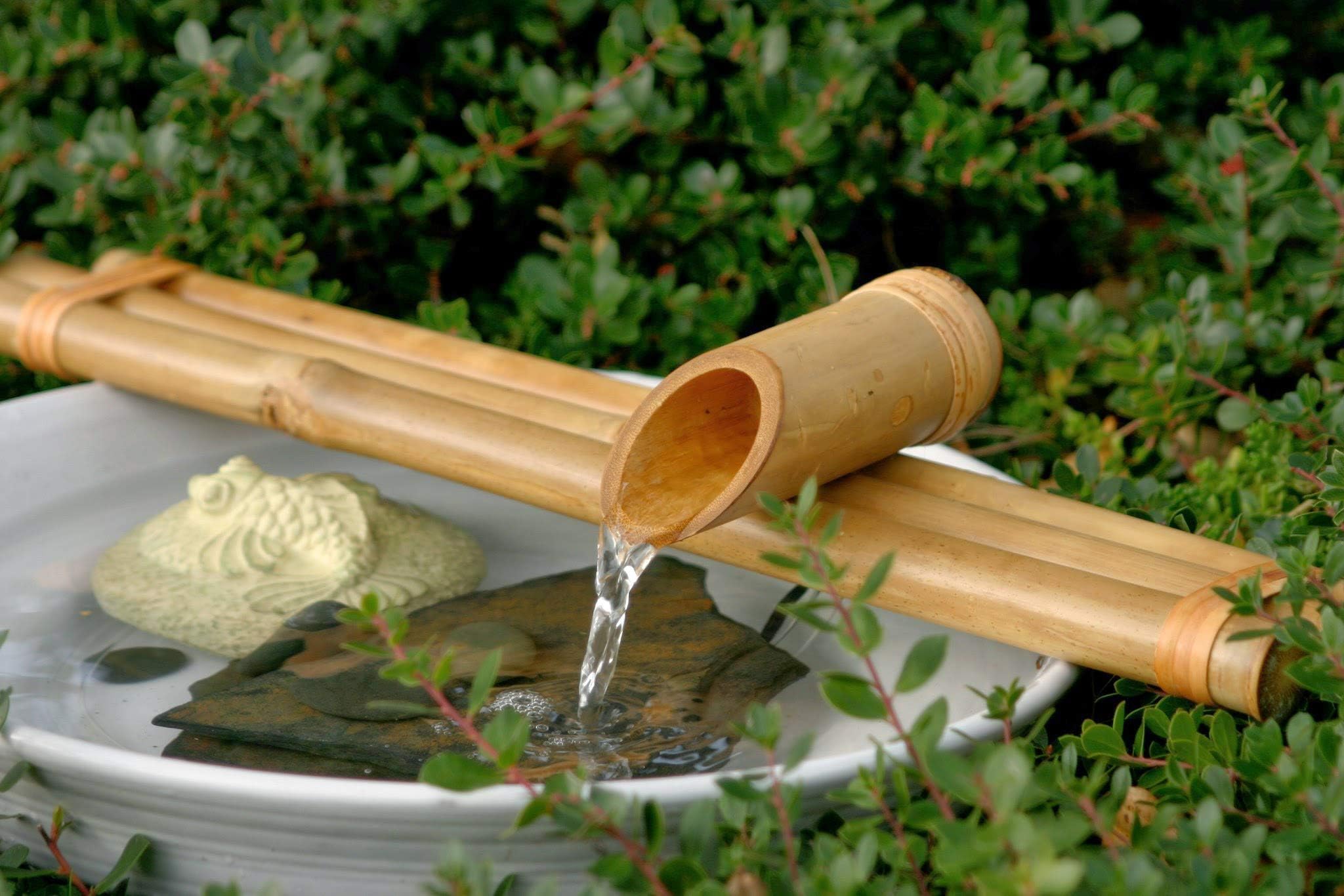 Amazon.com: ZZYYZZ 12" Bamboo Fountain Kit with Pump & Solar Powered ...