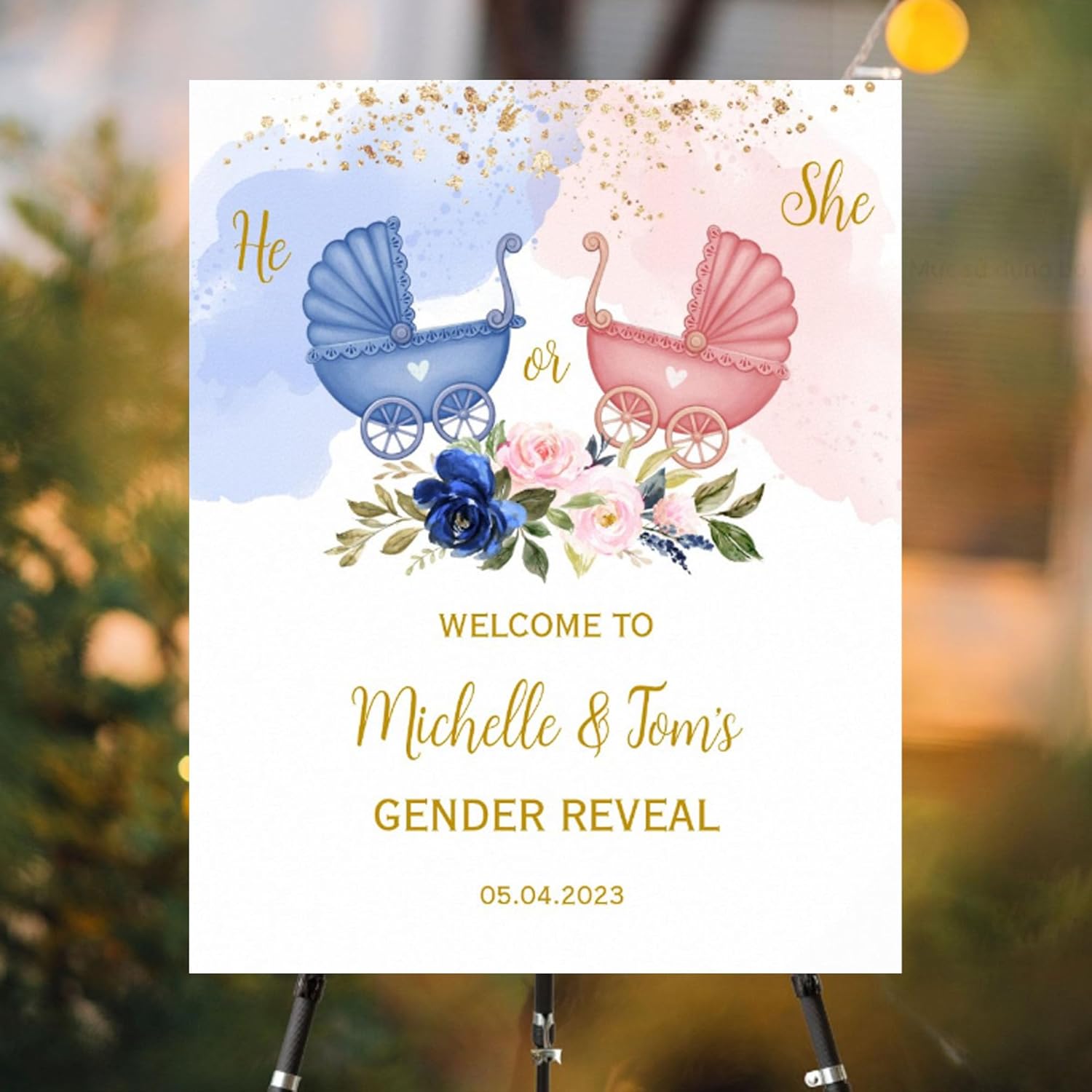 Amazon.com : Gender Reveal Welcome Sign, Gender Reveal Welcome Sign ...