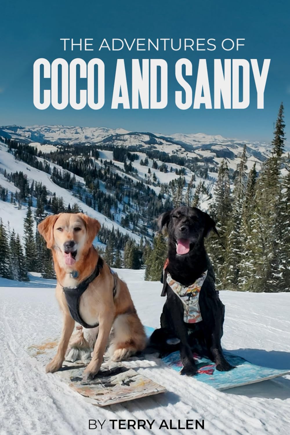 The Adventures of Coco & Sandy: Allen, Terry: 9798340144294: Amazon.com ...