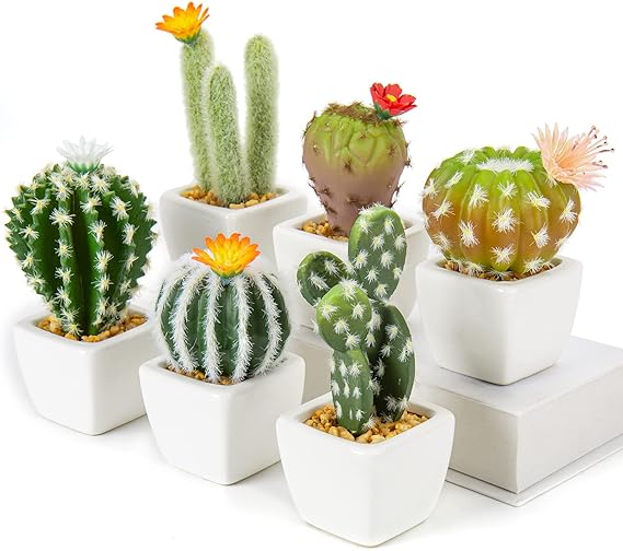 Amazon.com: Oairse Mini Artificial Cactus Plants in Ceramic Pots 6 Pcs ...