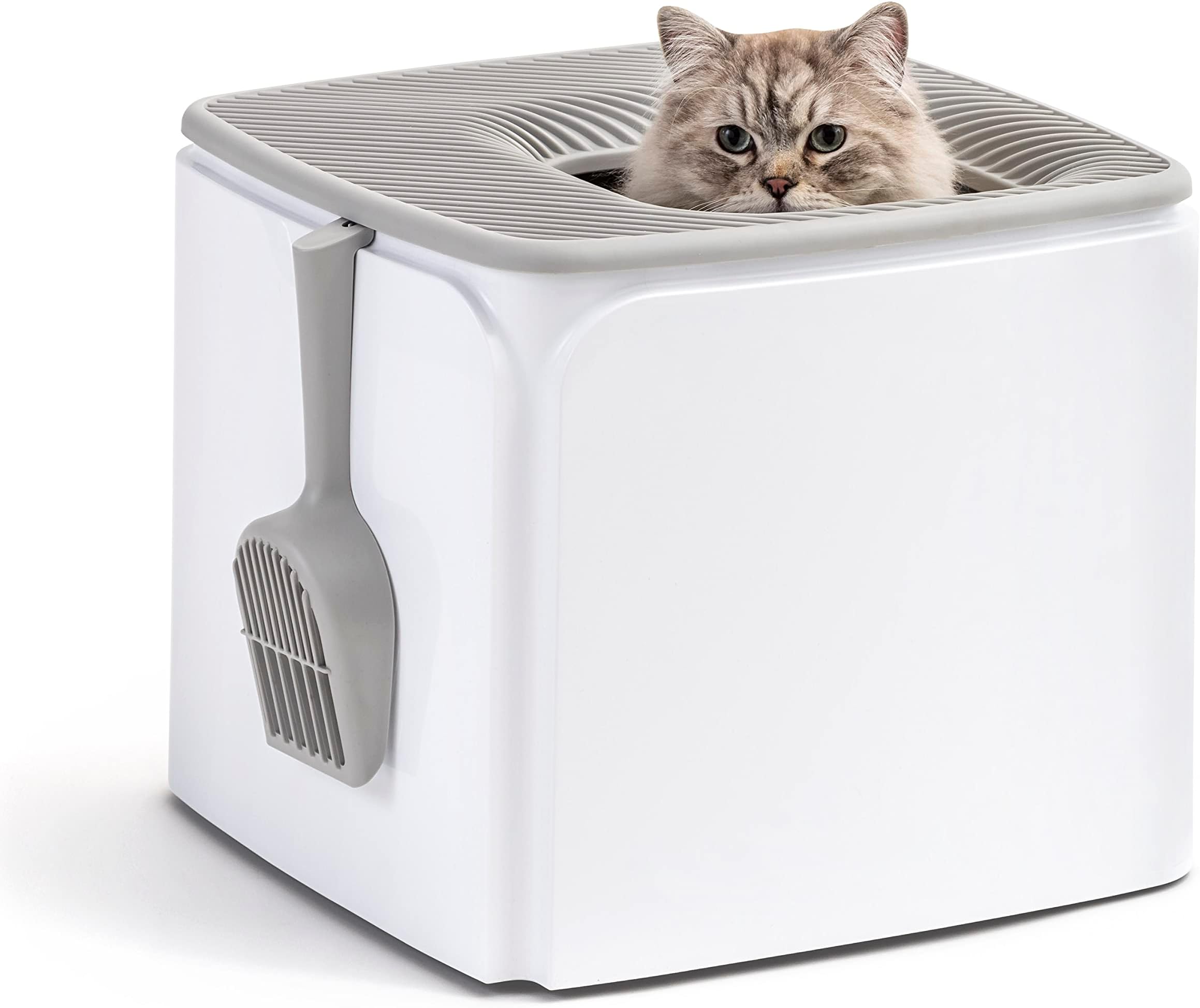 Amazon.com: GAVALE Cat Castle Litter Box with Cat Scratching Board ...