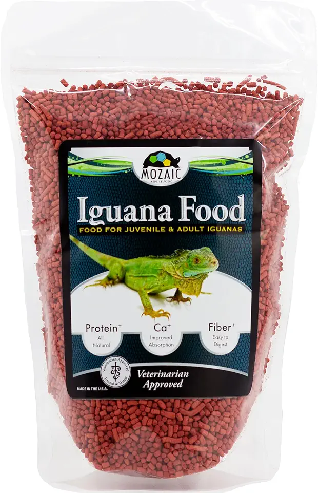 The Super Red Iguana: A Stunning Reptile With Vibrant Coloration | PetShun