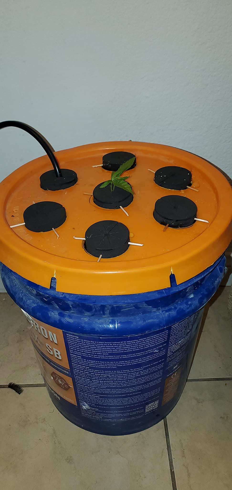 $3/mo - Finance SUCOHANS 50 Pack Cloning Collars Inserts Premium Grade ...