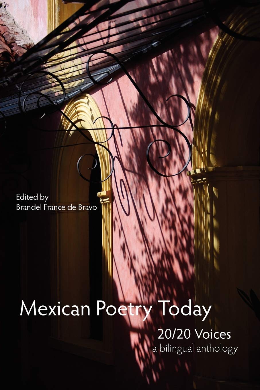 Mexican Poetry Today: 20/20 Voices (English and Spanish Edition ...