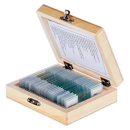 AmScope PS25 Prepared Microscope Slide Set for Basic Biological Science ...
