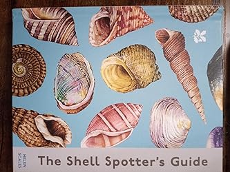 The Shell Spotter’s Guide: Every shell has a story to tell. Discover ...