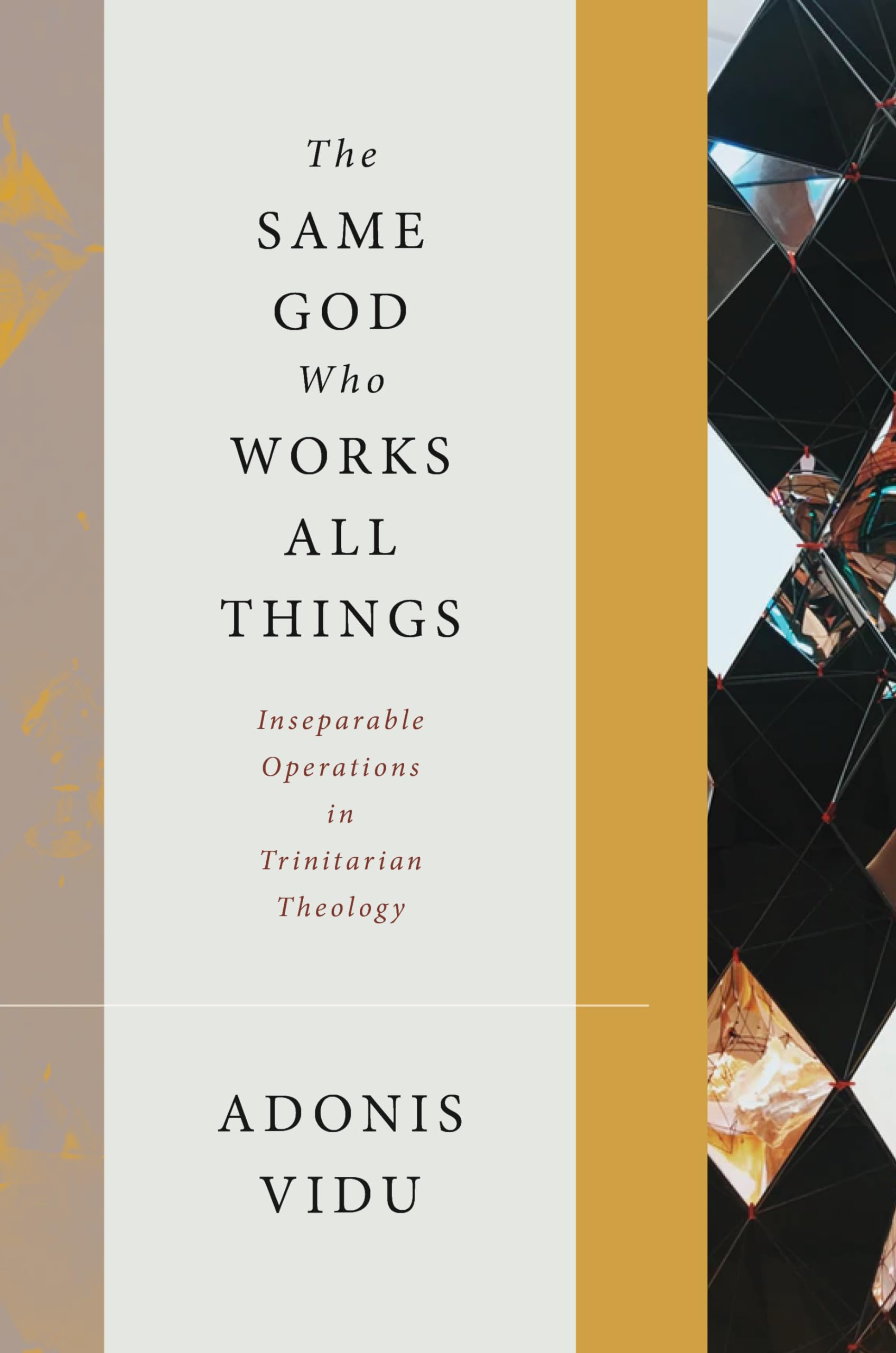 The Same God Who Works All Things: Inseparable Operations in Trinitarian Theology: Vidu, Adonis ...