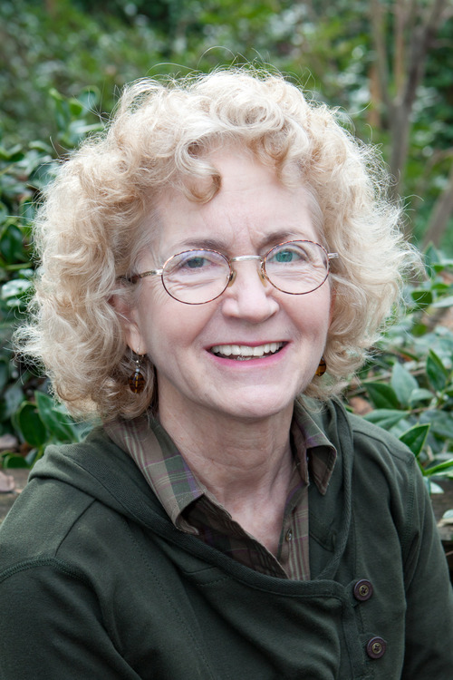 Amazon.com: Elizabeth M. Ellis: books, biography, latest update