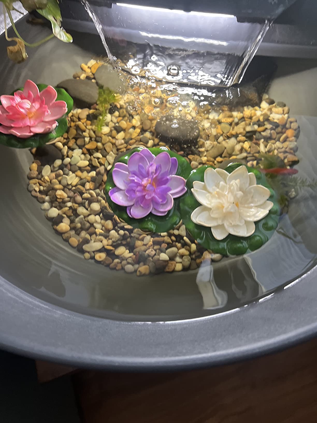 $27/mo - Finance Aquascape Pond and Waterfall Kit AquaGarden Container ...