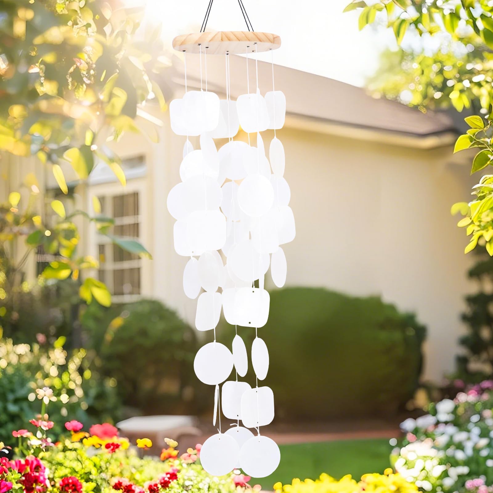 Amazon.com : California Seashell Company White Capiz Circle and Square ...