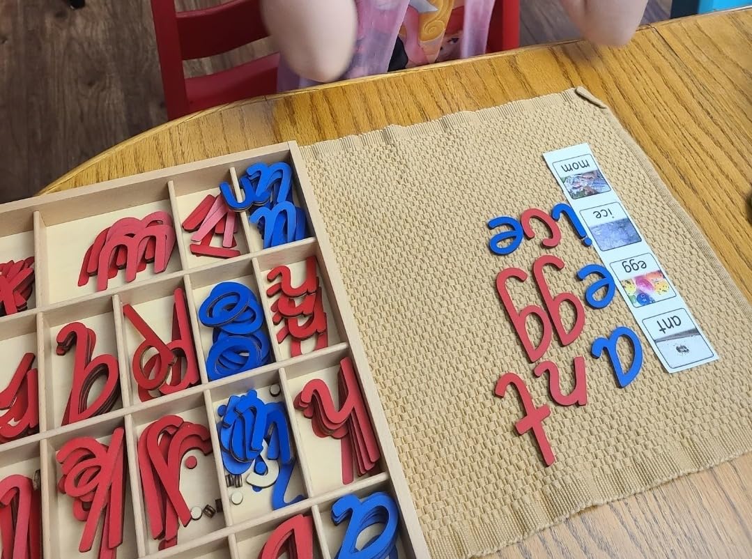 Amazon.com: Elite Montessori Small D'Nealian Moveable Alphabet : Toys ...