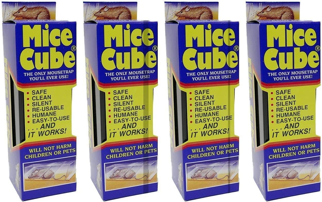 Amazon.com : HOME-OUTDOOR Mice Cube 4 Pk - Reusable Humane Mouse Trap ...