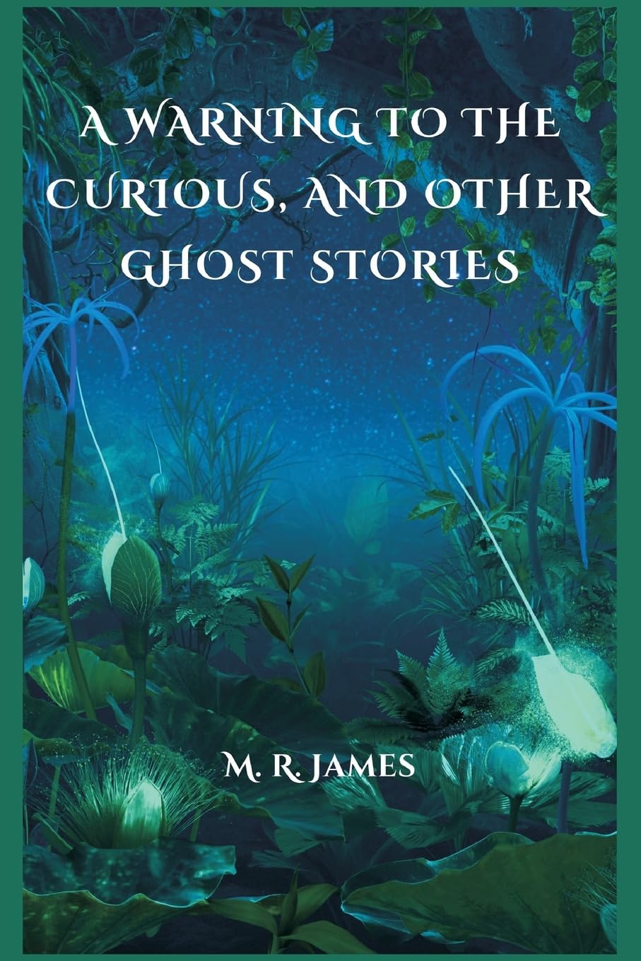 Buy A Warning to the Curious, and Other Ghost Stories Book Online at Low Prices in India | A ...