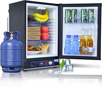Amazon.com: SMETA RV 110V Propane Refrigerator, 12V Mini Fridge, Gas RV ...
