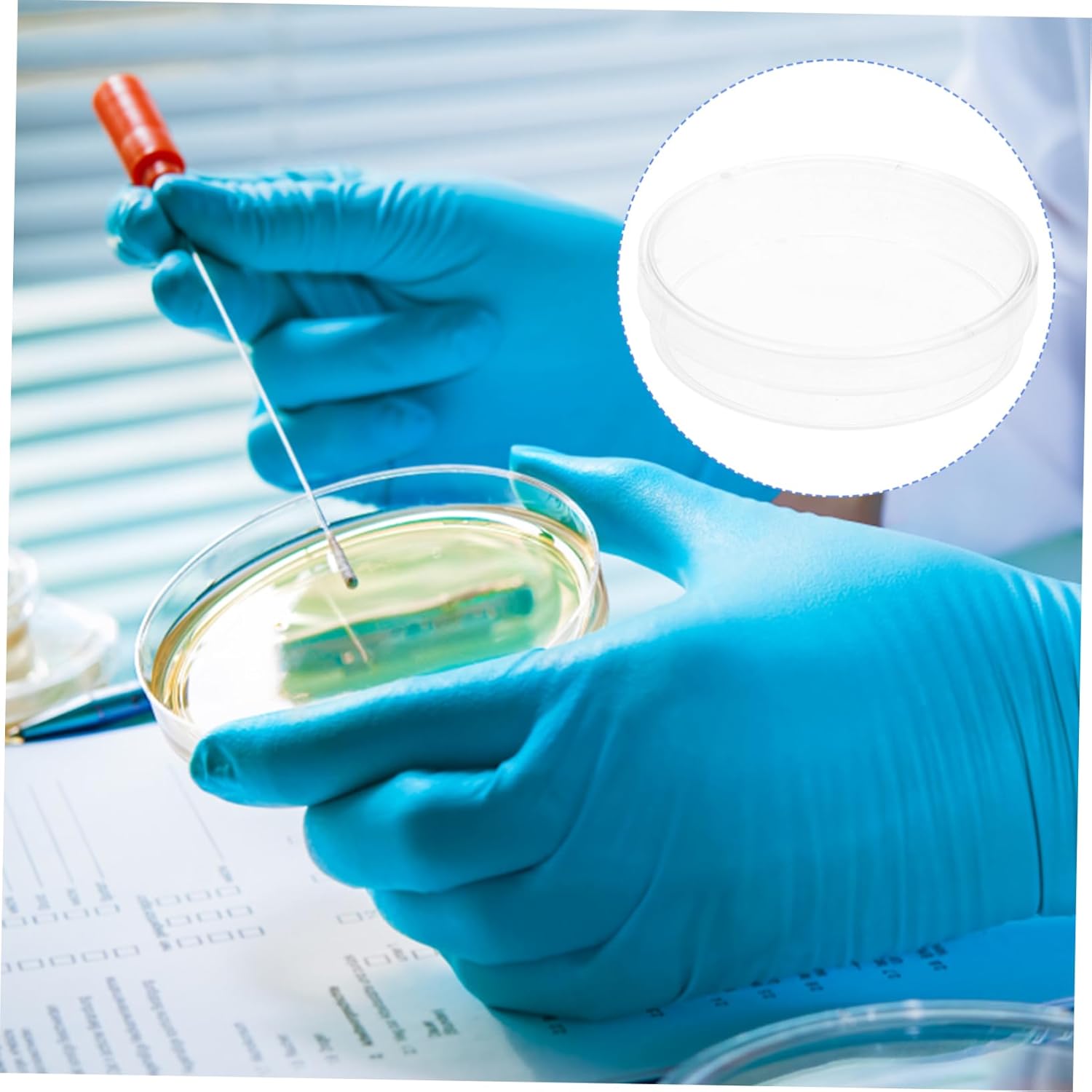 MUSISALY 10pcs Square Petri Dish Agar Culture Dishes Laboratory Culture ...