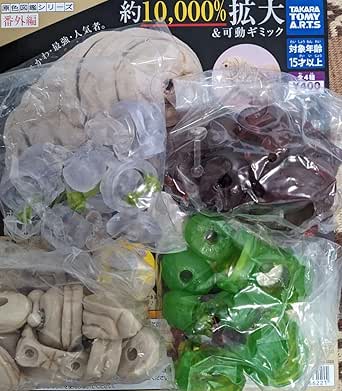 Amazon.co.jp: All Types Set, Primary Color Encyclopedia Series, Extra ...