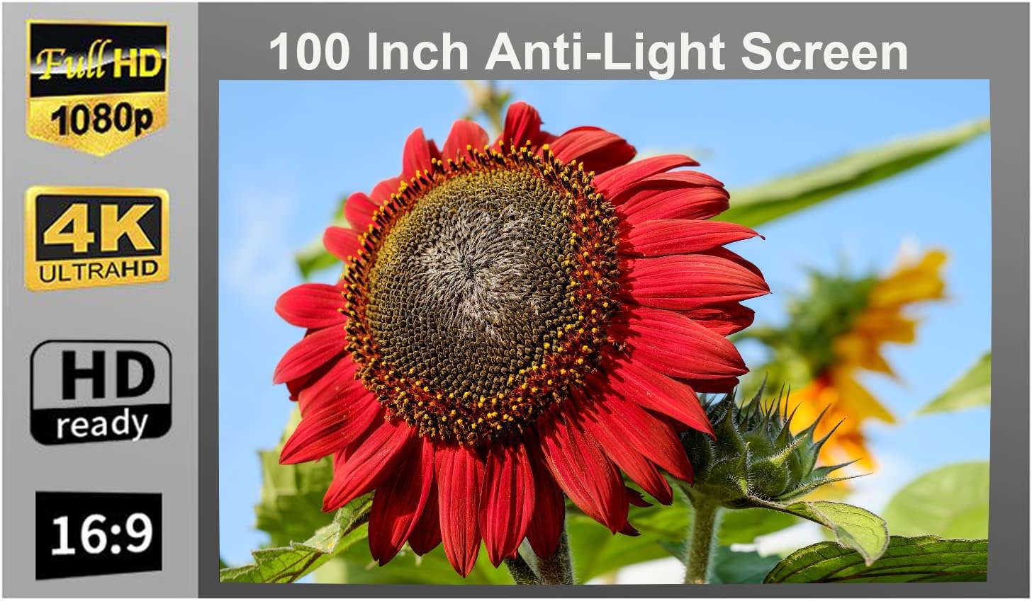 Amazon.com: Jimveo 100-inch Simple Projector Screen, 16:9 Anti-Light ...