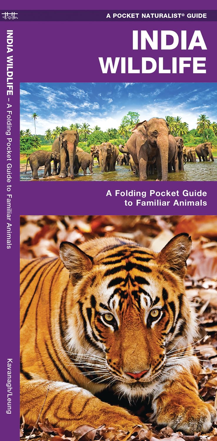 India Wildlife: A Folding Pocket Guide to Familiar Animals (Nature ...