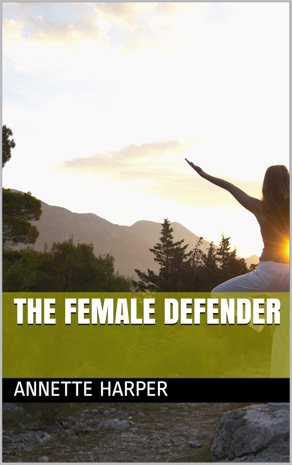 Amazon.com: The Female Defender eBook : Harper, Annette: Books