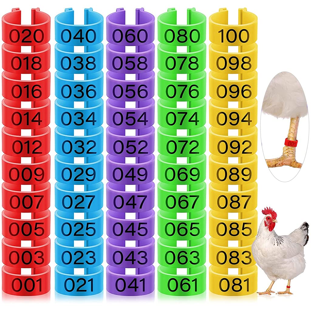 Qpets® 100pcs Chicken Leg Rings 5-Color Poultry Leg Rings for ...