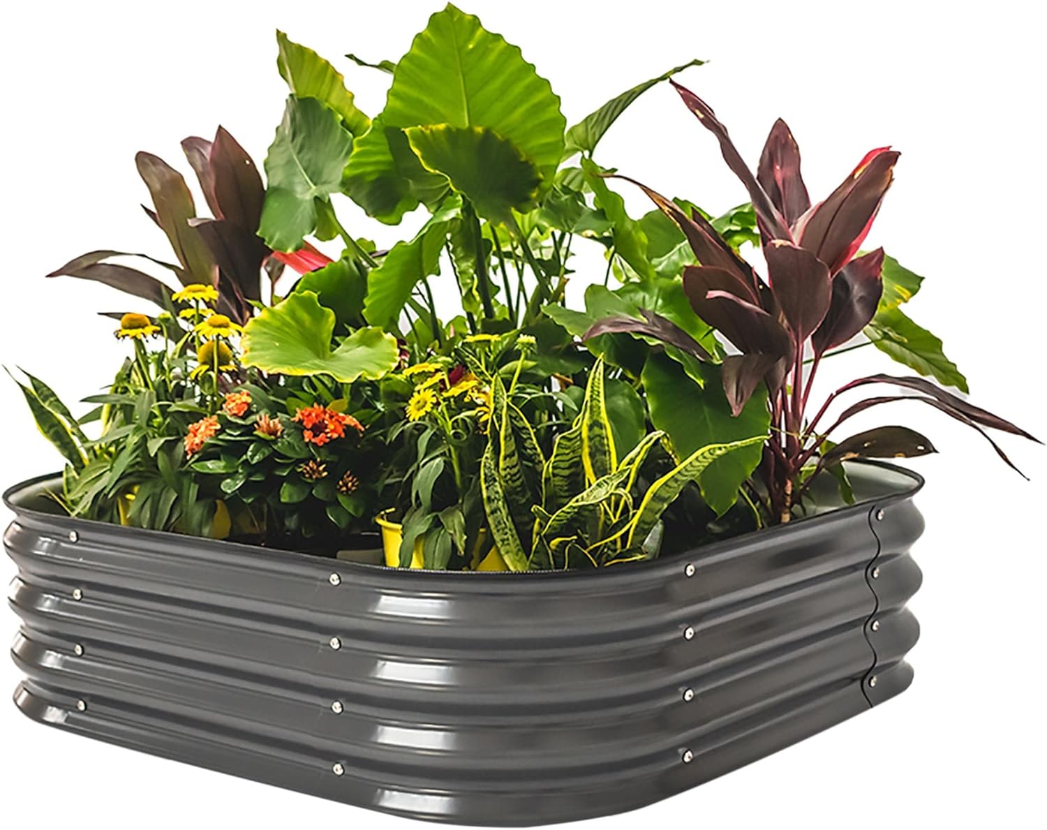 Vego Garden Raised Garden Bed Kit - Modular Metal Planter Box for ...