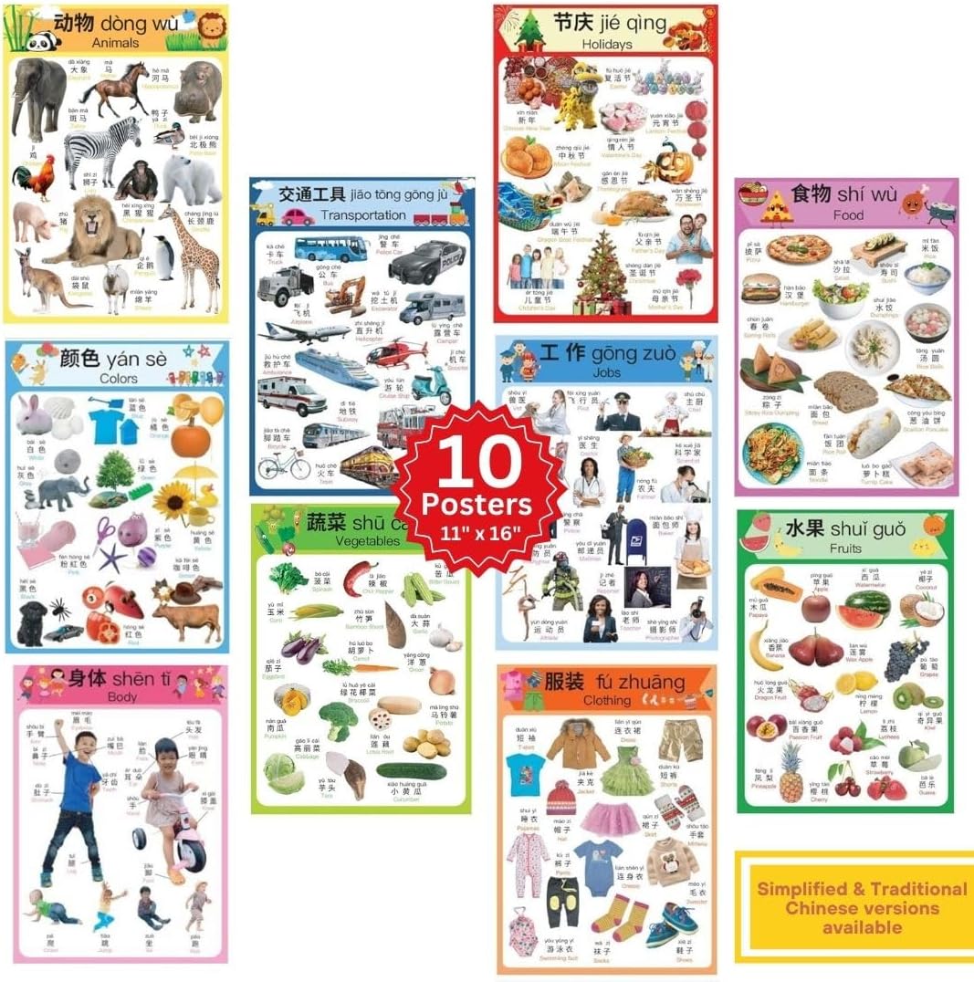 Amazon.com: N/A/ Chinese Learning 10-Poster Set for Kids. Montessori ...