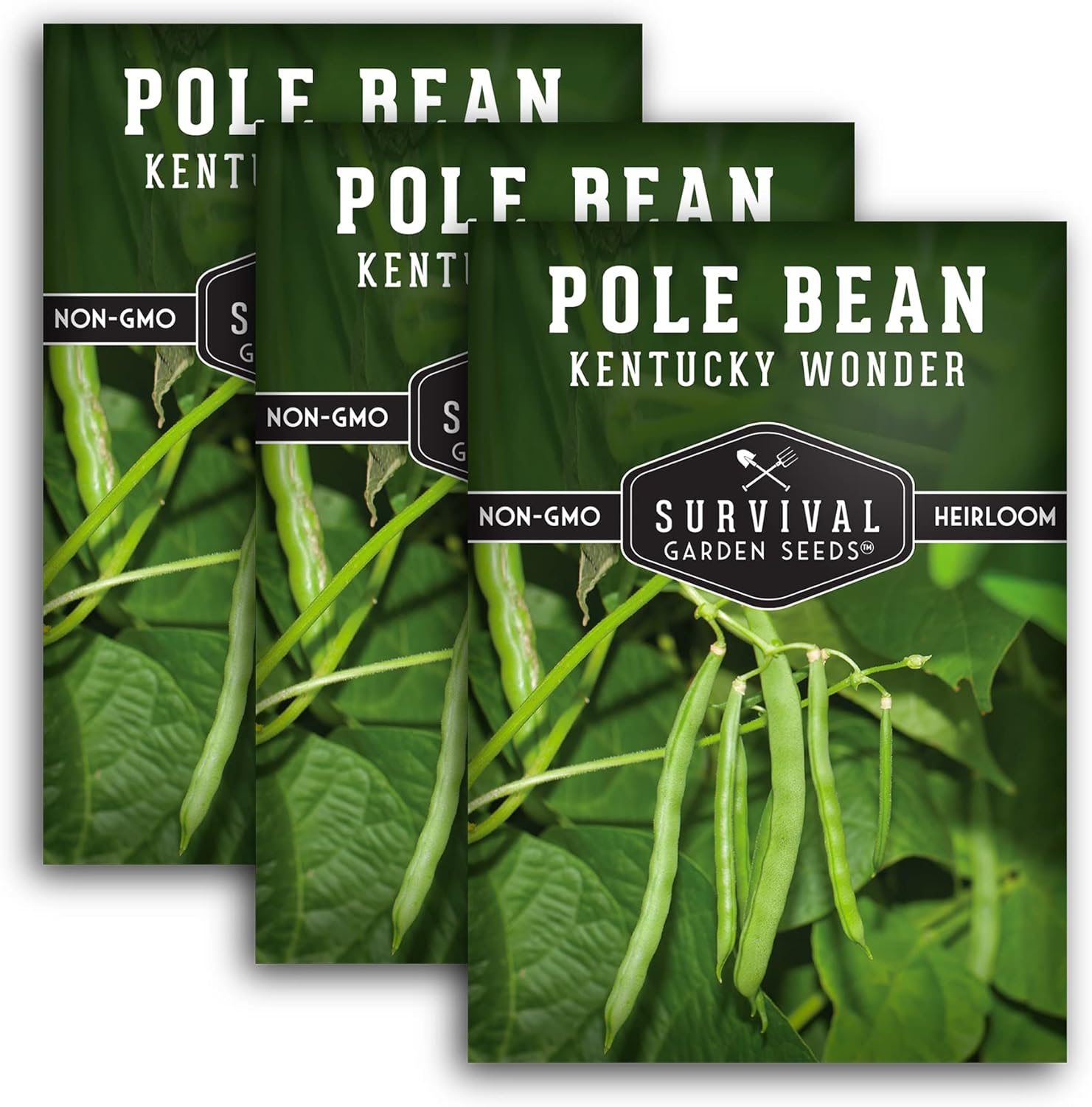 Amazon.com : Survival Garden Seeds - Kentucky Wonder Pole Bean Seed for ...
