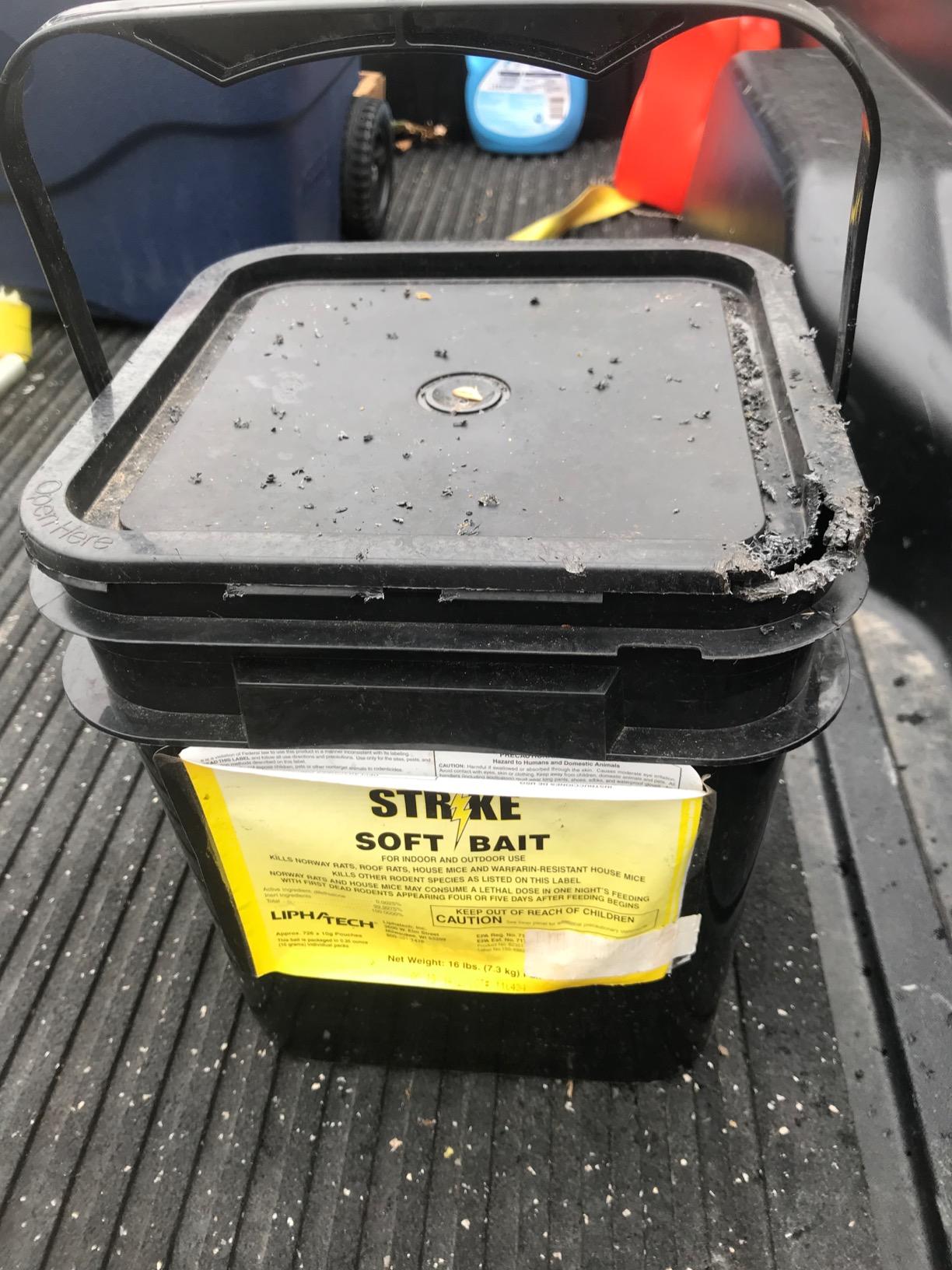 Amazon.com: First Strike Soft Bait RAT/MICE Rodenticide Poison - 16 LBS ...