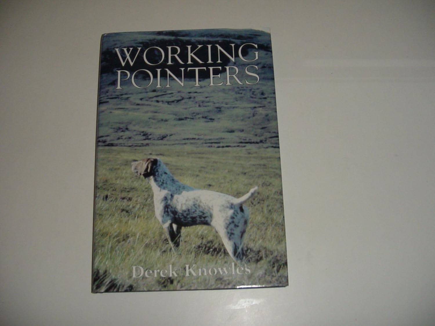 Working Pointers: Derek Knowles: 9781858215617: Amazon.com: Books