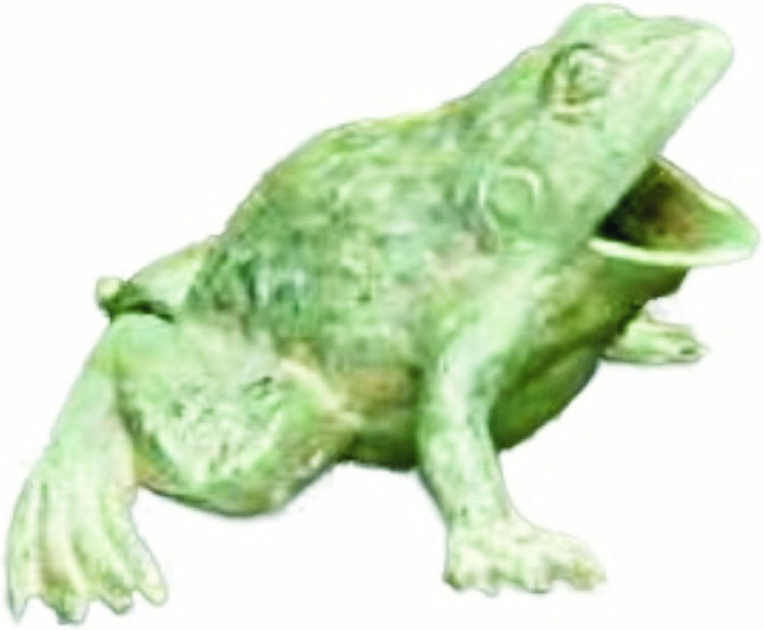 Amazon.com : Zoobox ZF-0200F Water Gardening Mouth Open Frog Verdi ...