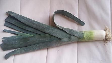Amazon.com: Organic Leeks, 1 Bunch : Grocery & Gourmet Food