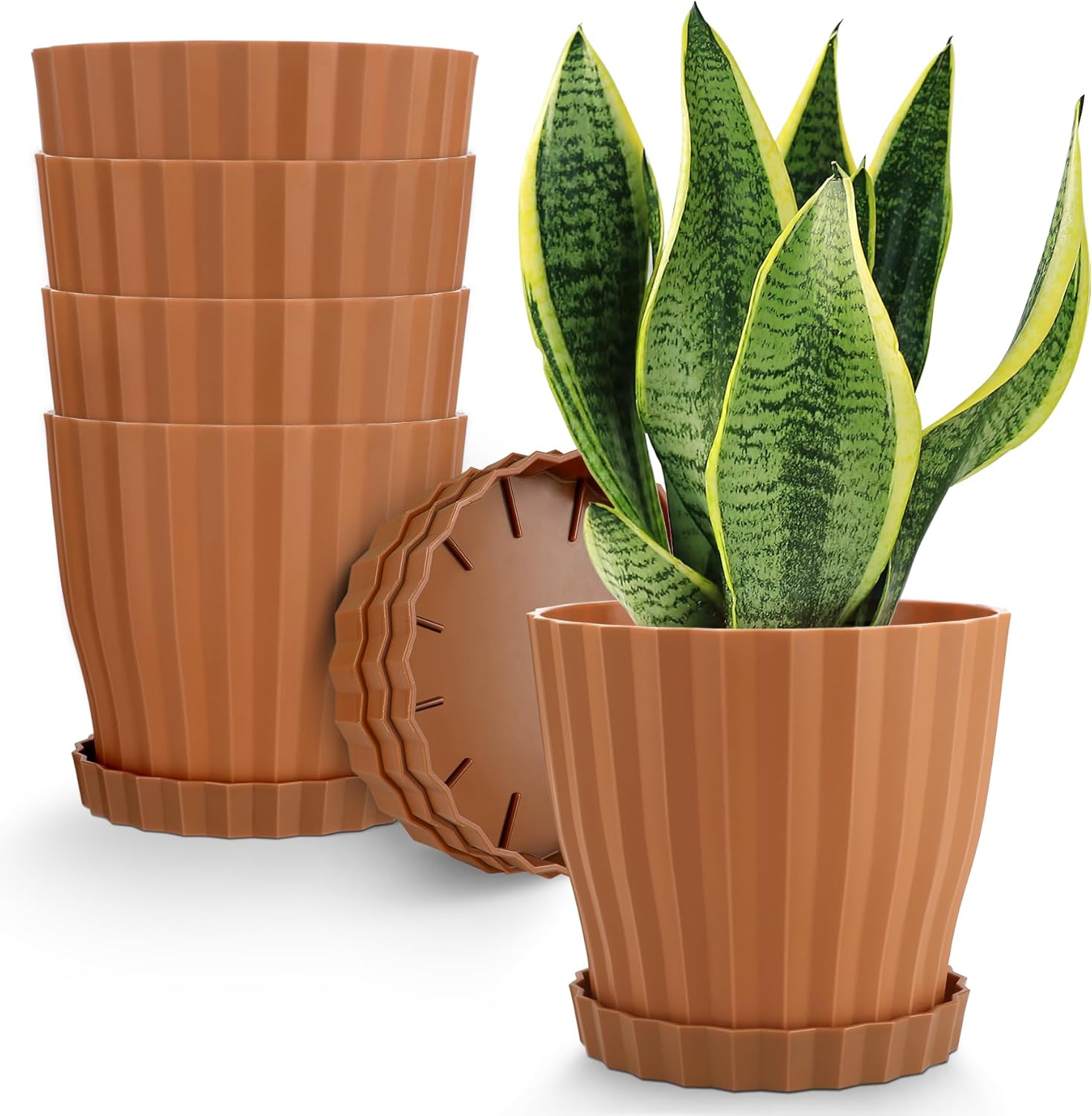 Amazon.com: QRRICA Plant Pots 6 inch Pots, 5 Pack Flower Pots Outdoor ...