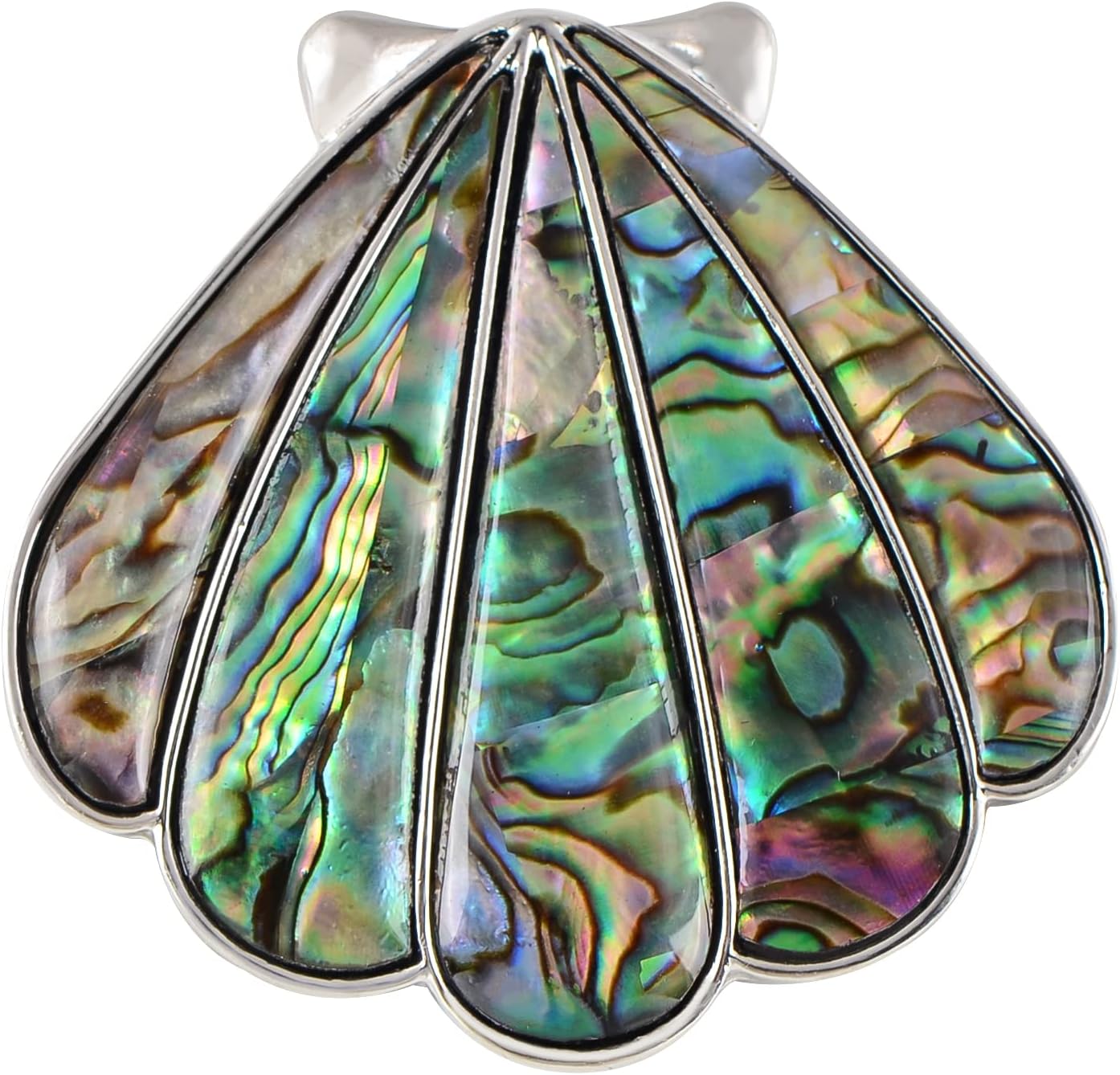 Amazon.com: Alilang Silvery Tone Abalone Shell Scalloped Ocean Sea ...