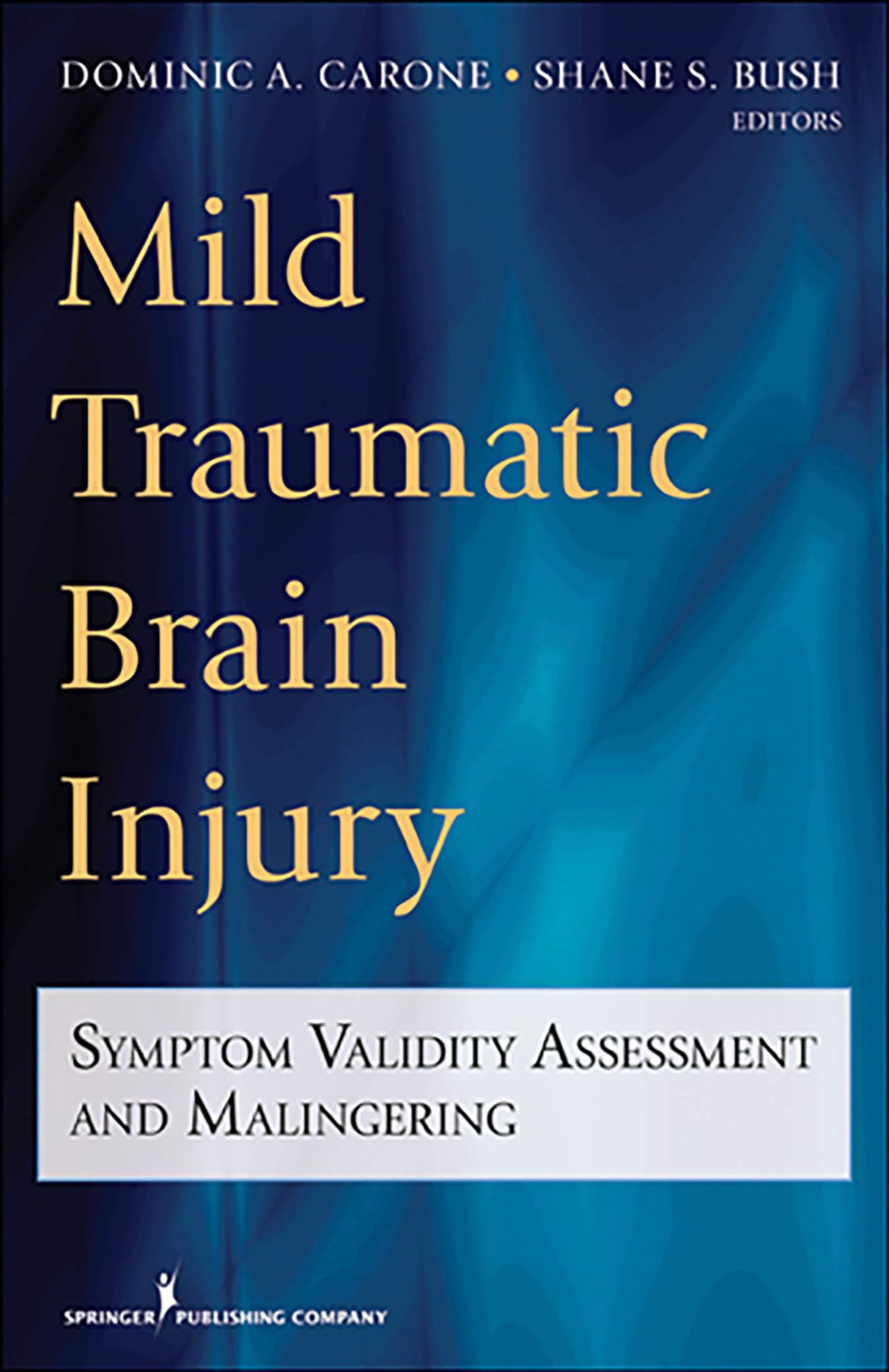 Mild Traumatic Brain Injury: Symptom Validity Assessment and ...