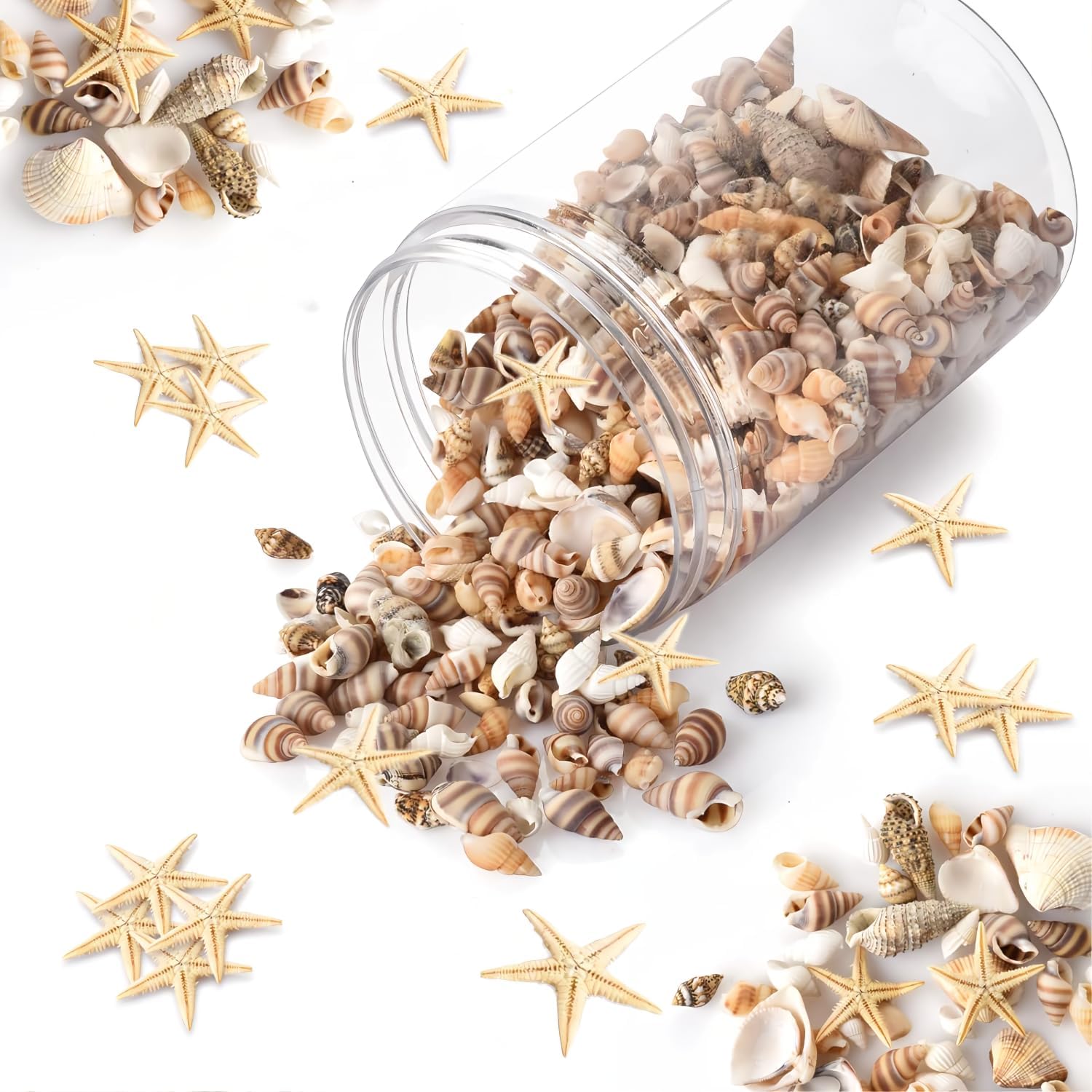 Amazon.com: 1200 PCS Tiny Sea Shells &10 Small Starfish - Mixed Ocean ...