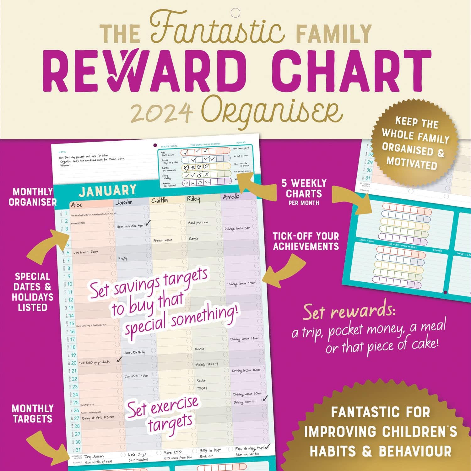 Fantastic Family Reward Chart Organizer : Carousel Calendars: Amazon.co ...