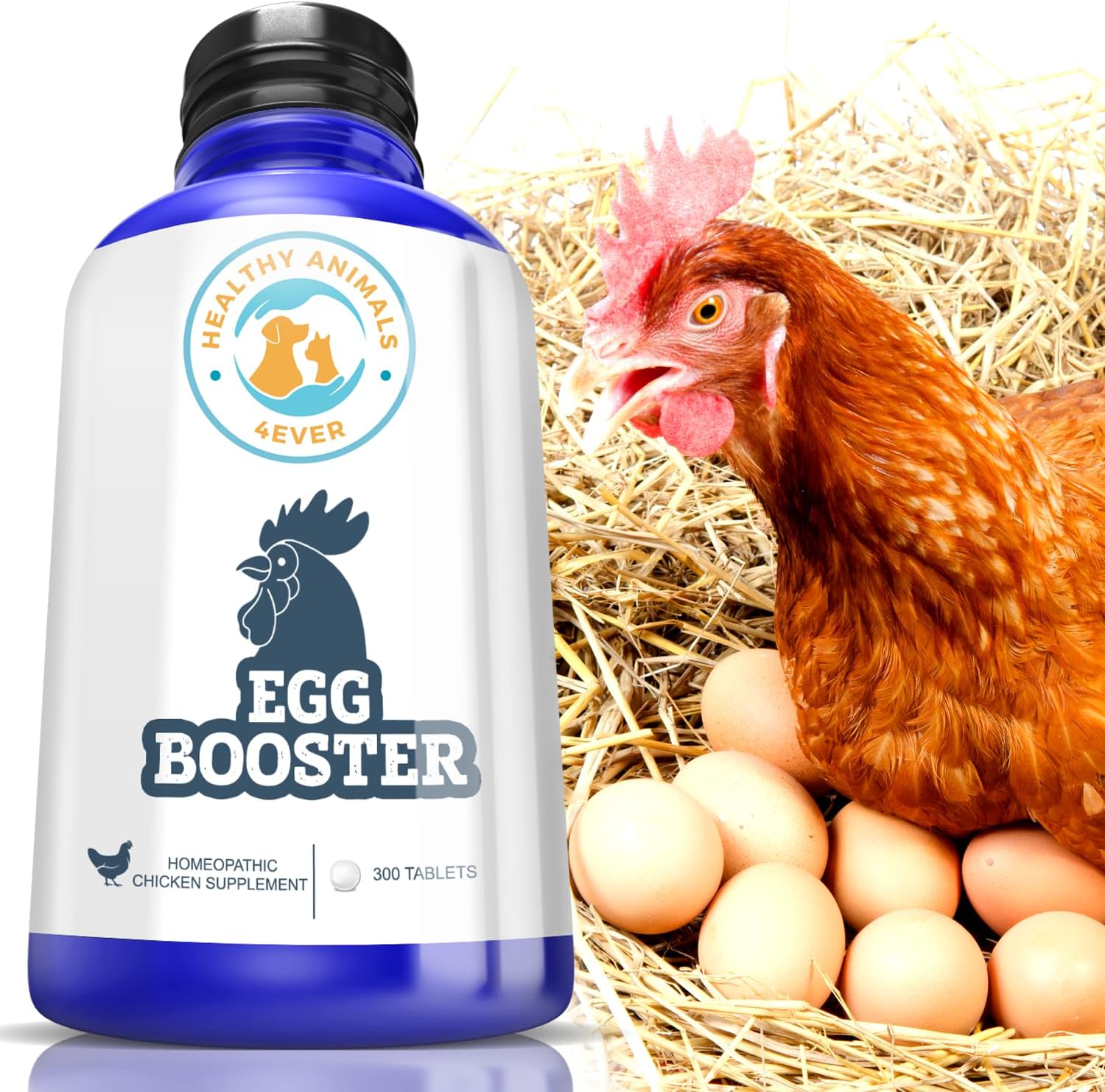 Amazon.com: HealthyAnimals4Ever All-Natural Chicken Egg Booster ...