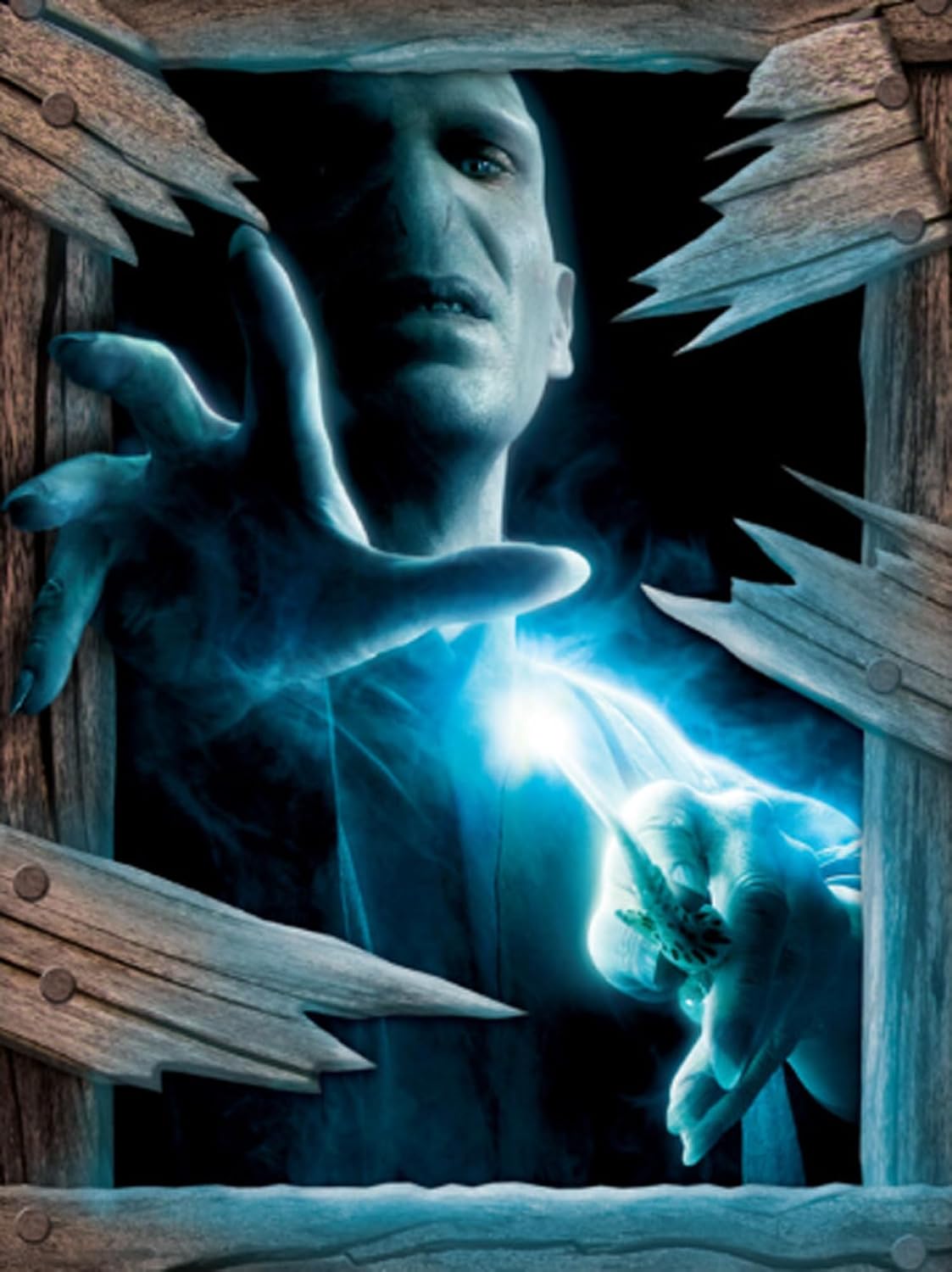 Amazon.com: Rubies Harry Potter Voldemort Wall Breaker Decoration, One ...