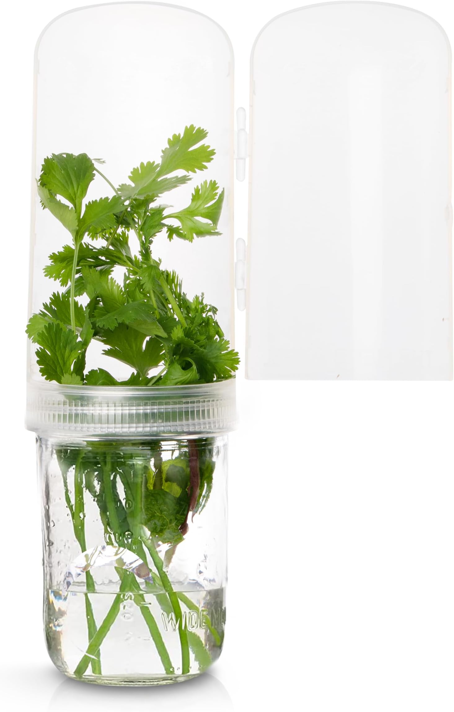 Amazon.com: Cole & Mason Fresh Herb Keeper - Gifts for Cooks - Culinary ...