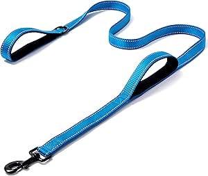 Heavy Duty Dog Leash - 2 Handles by Padded Traffic Handle for Extra ...