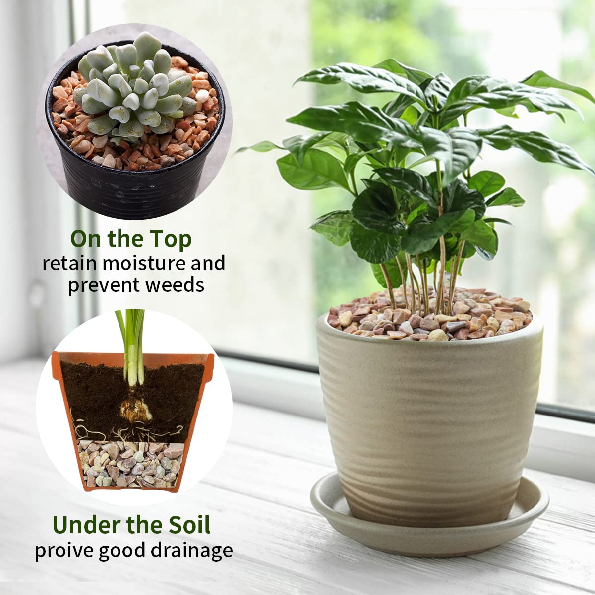 Snapklik.com : 5lbs Natural Pea Gravel Pebbles, 3/8 Inch Decorative ...