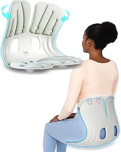 Curble Ergonomic Chair Back Support for Posture Correction