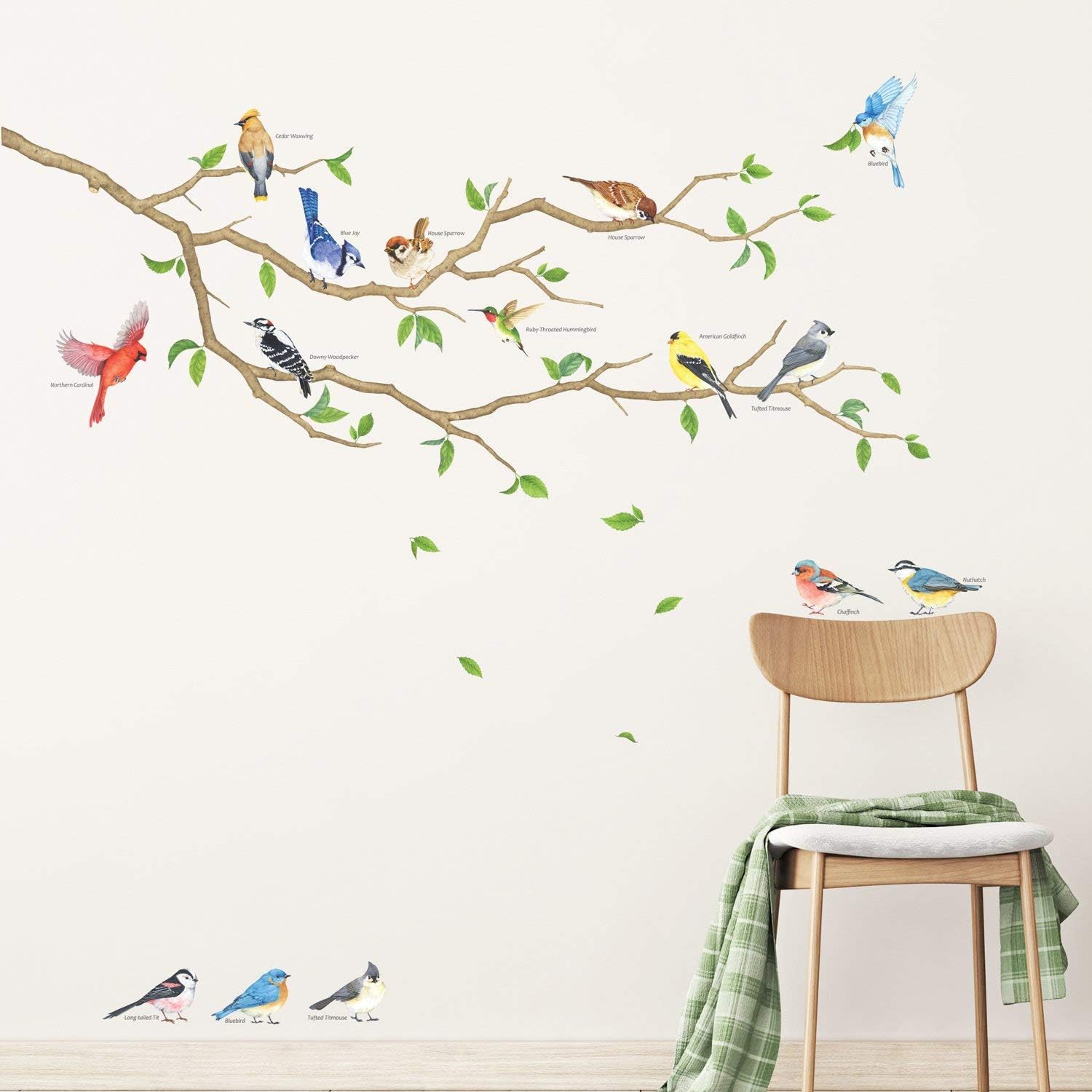 Amazon.com: DECOWALL DWL-2015 Garden Birds Wall Stickers Wall Decals ...